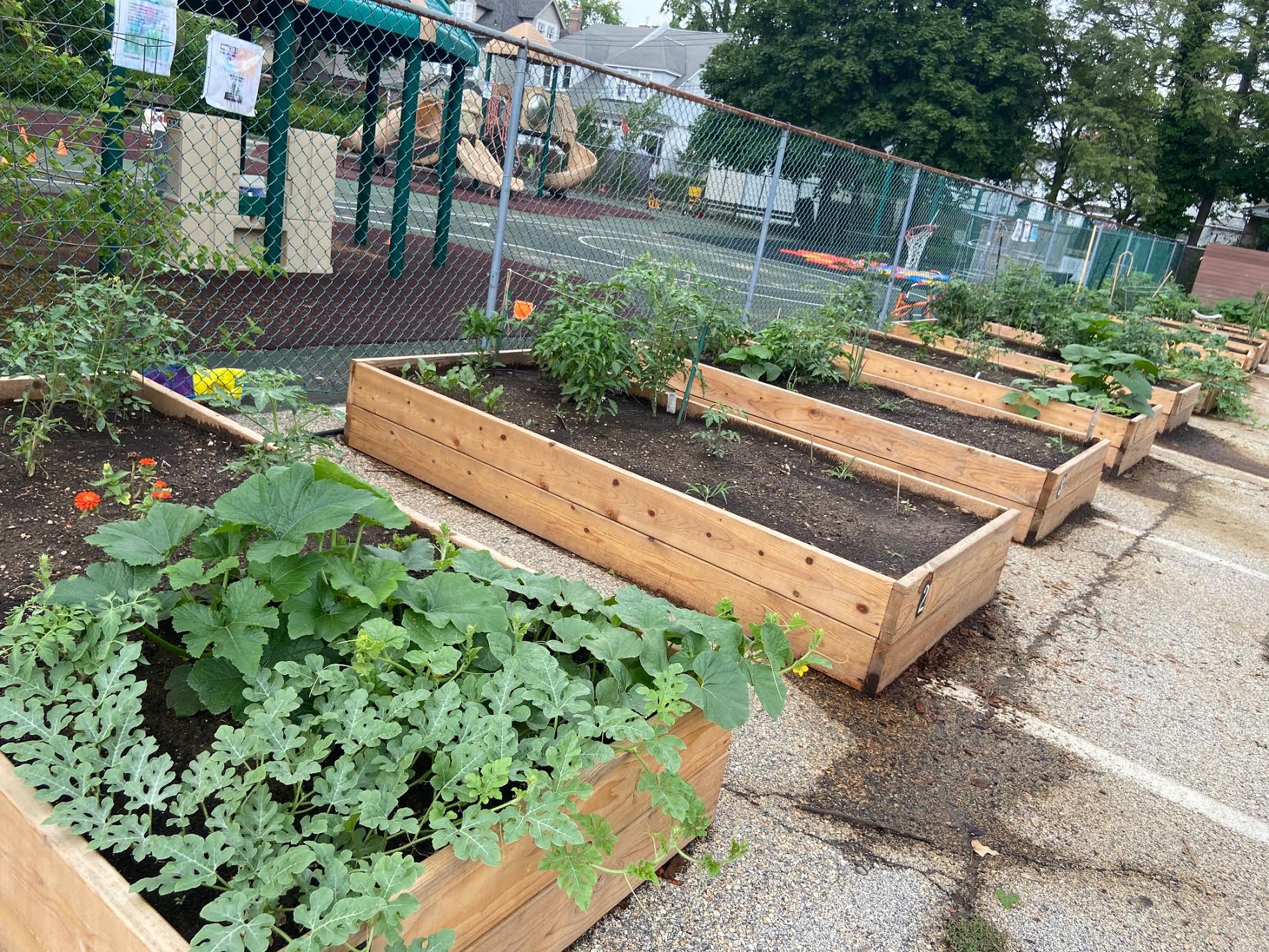 Welcome to our community garden space in Narberth! You can visit the ...